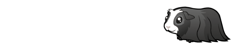 Keeping Guinea Pigs as Pets | Facts | Information | Care