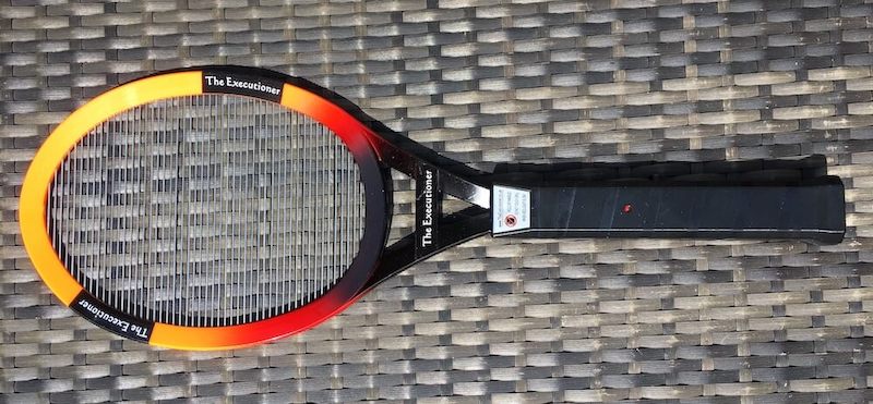 Flystrike in Guinea Pigs | Flies or Maggots on Guinea Pigs & in Cage