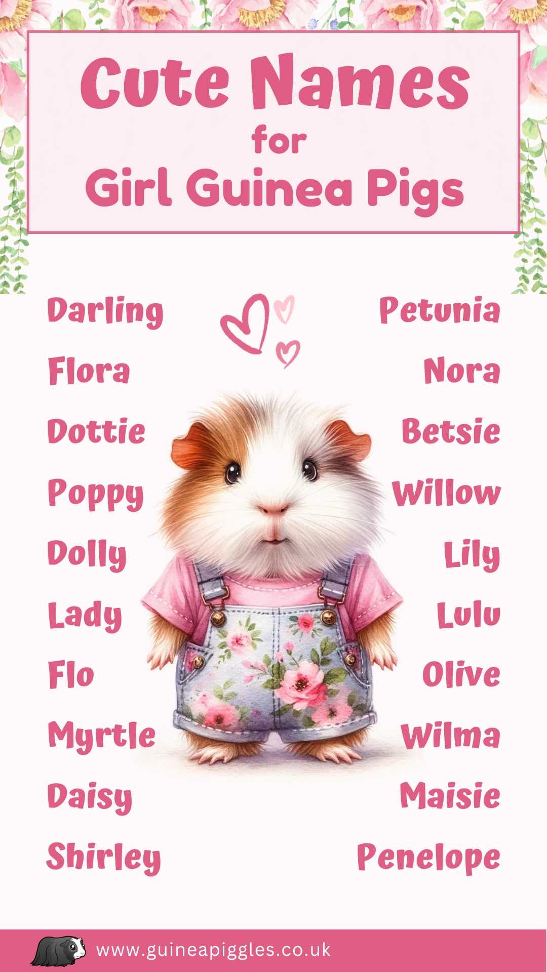 Over 450 Guinea Pig Names | Cute Names for Boys, Girls & Pairs